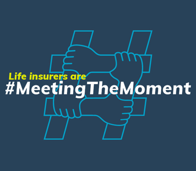 Report: ACLI 2019 Life Insurers Fact Book | ACLI.com